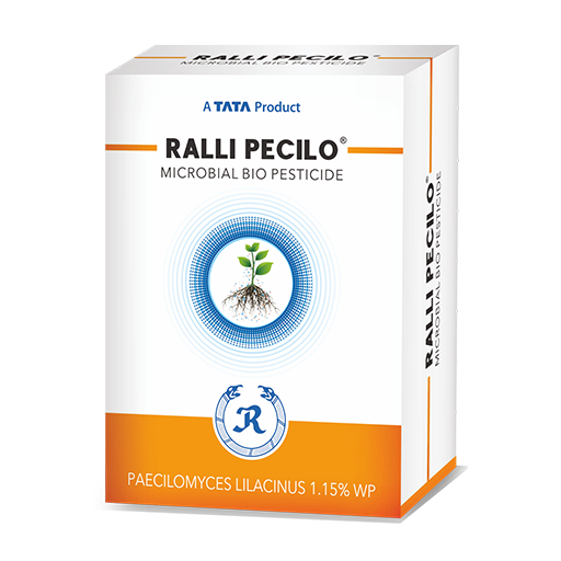 Rallis Pecilo